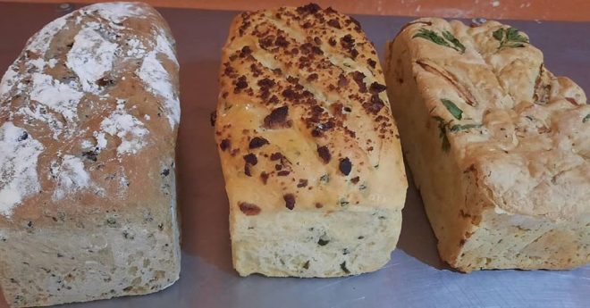 Yuyo, el hongo silvestre que se puede comer en pan y pizzas