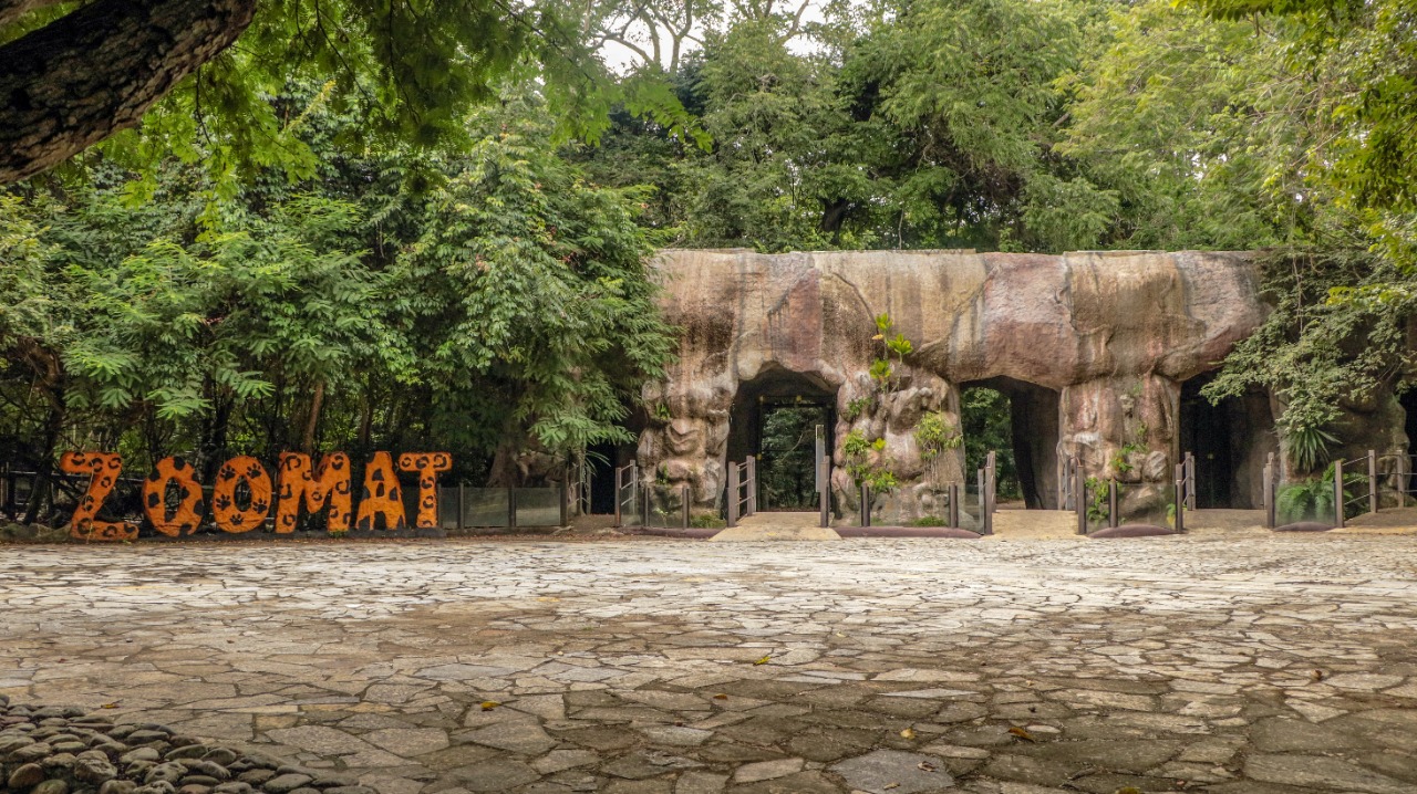 ZooMAT esta de vuelta