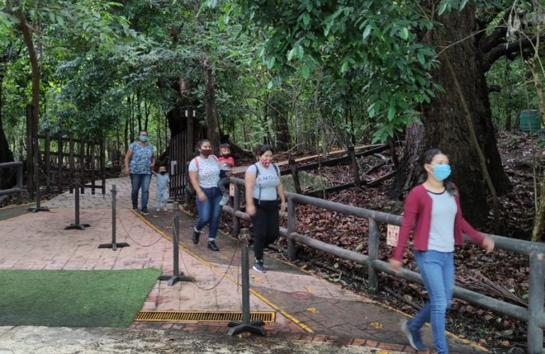 Visita el ZooMAT y disfruta de un ambiente al aire libre sin riesgos de ...